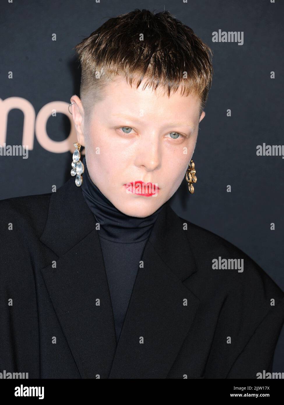 LOS ANGELES, CA - JULY 27: Emma D'Arcy attends the HBO Original Drama ...