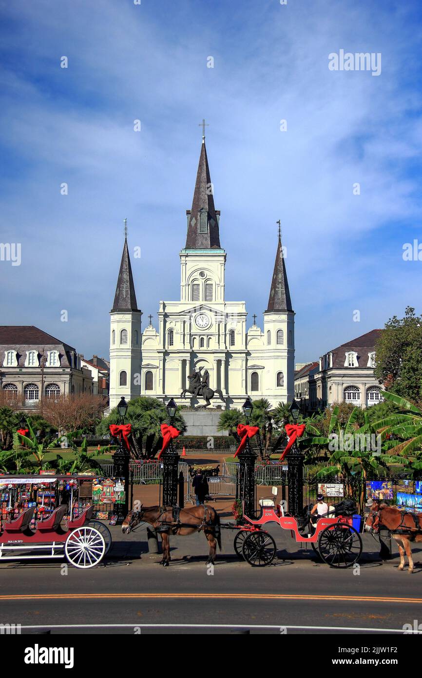A vertical shot of St Louis Cathedral and a horse-drawn carriage, in ...