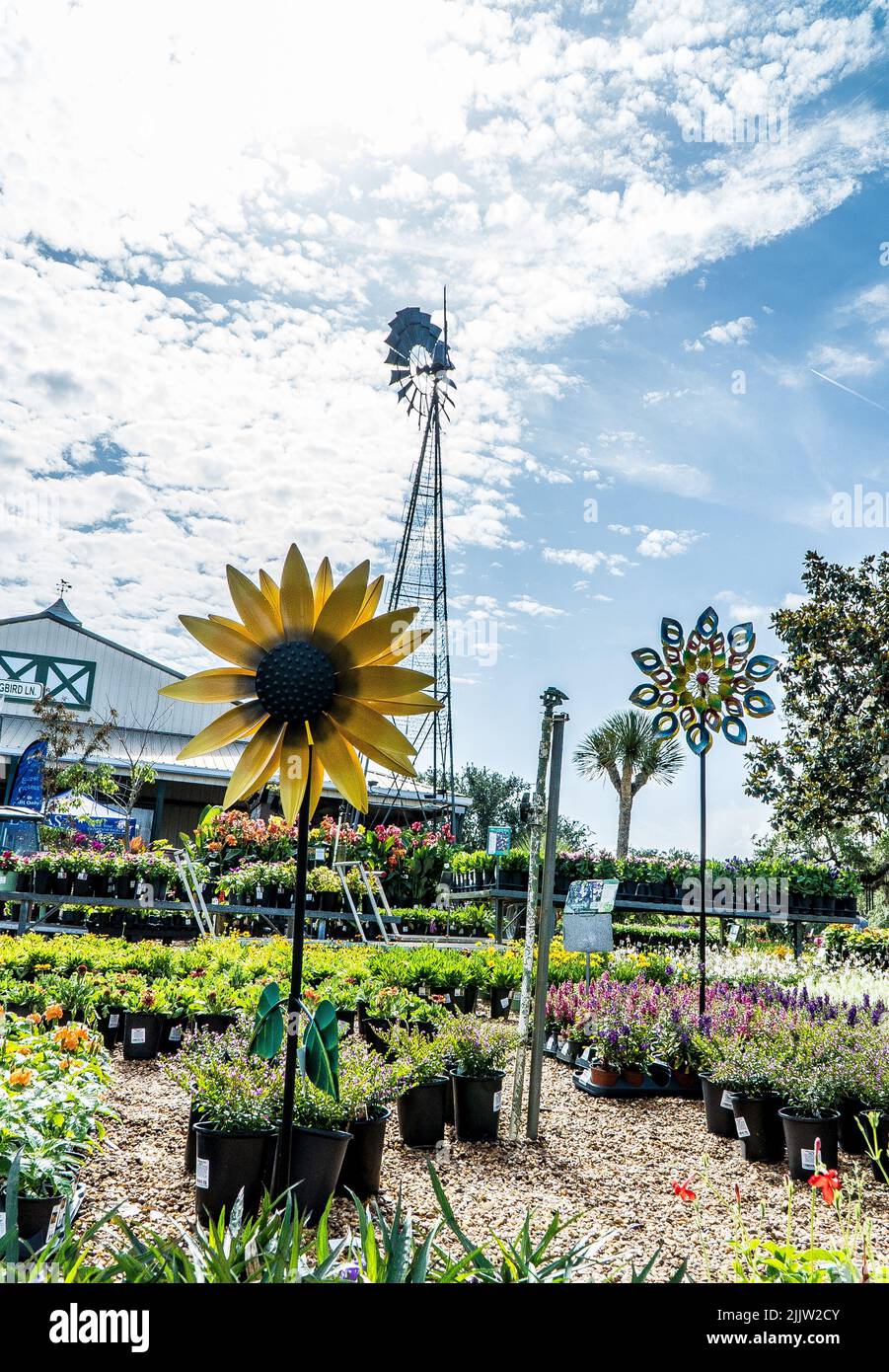 A vertical shot of windmills shaped as sunflowers at Lukas Nursery ...