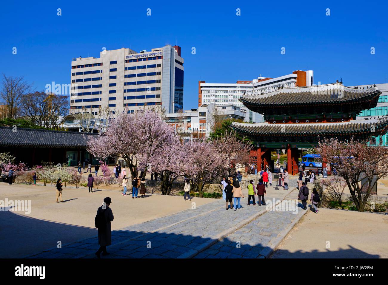 South Korea, Seoul, Jongno-gu district, Changdeokgung Palace or Palace ...