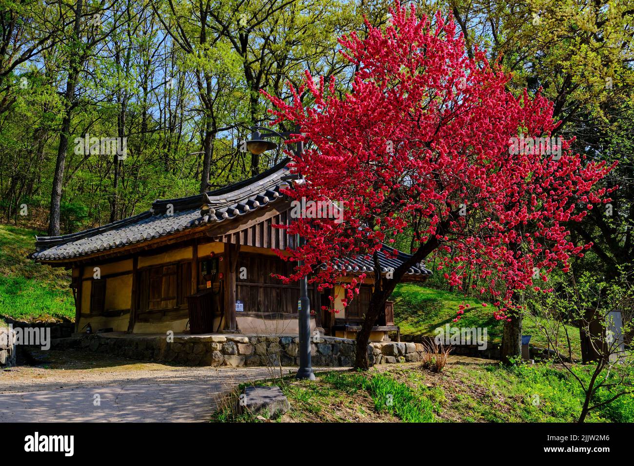South Korea, North Gyeongsang Province, Pohang, Yangdong traditional ...