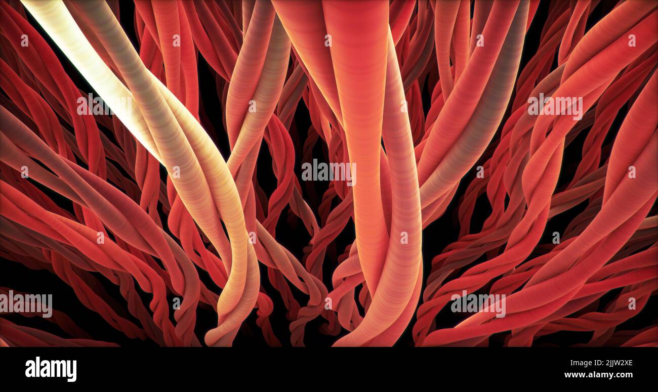 A 3d render of an abstract design of red thin capillaries background ...