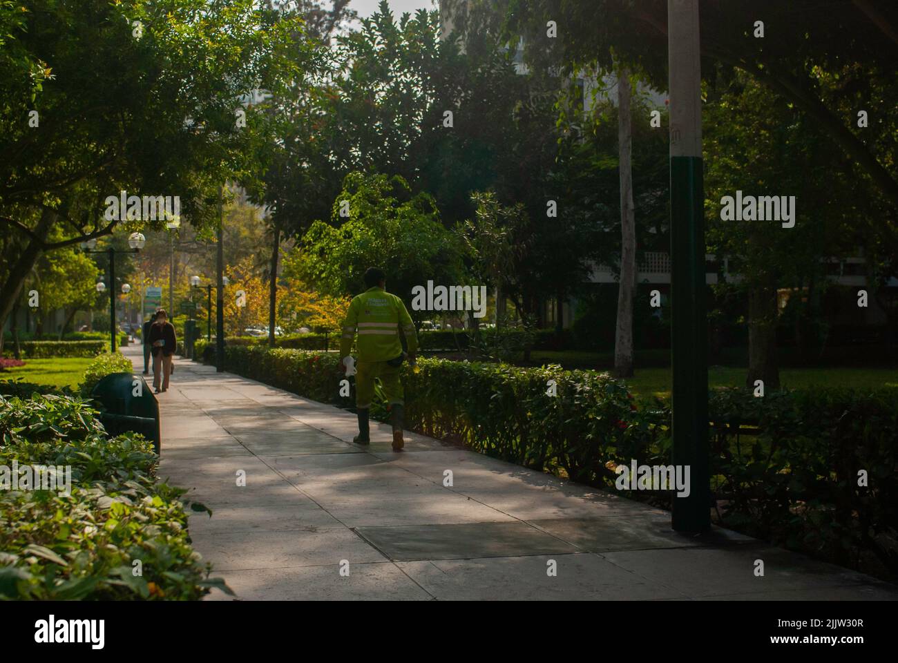 A pathway in a park with walking people Stock Photo - Alamy