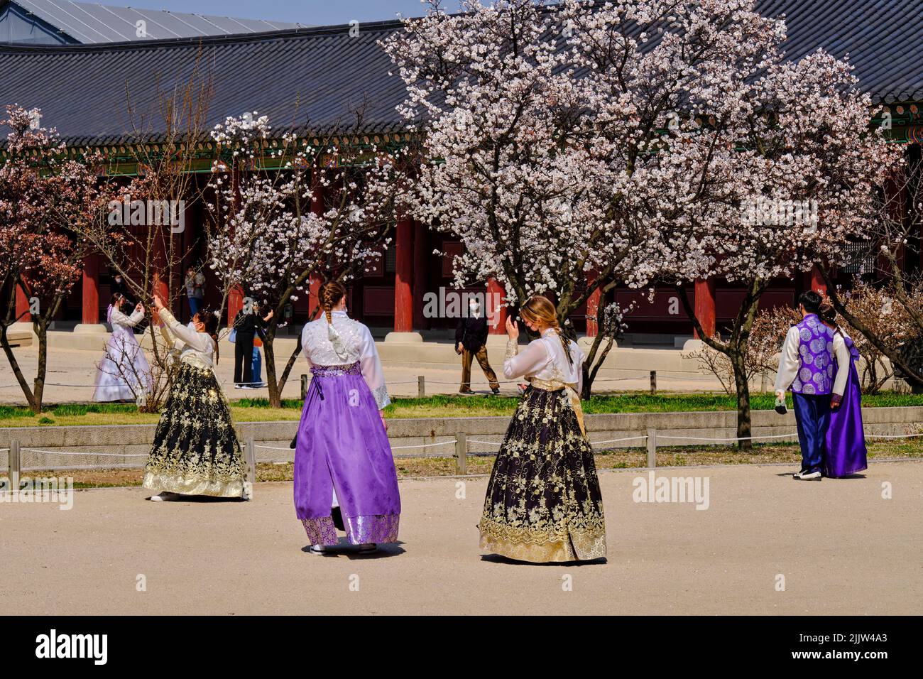 South Korea, Seoul, Jongno-gu district, Gyeongbokgung Palace or ...