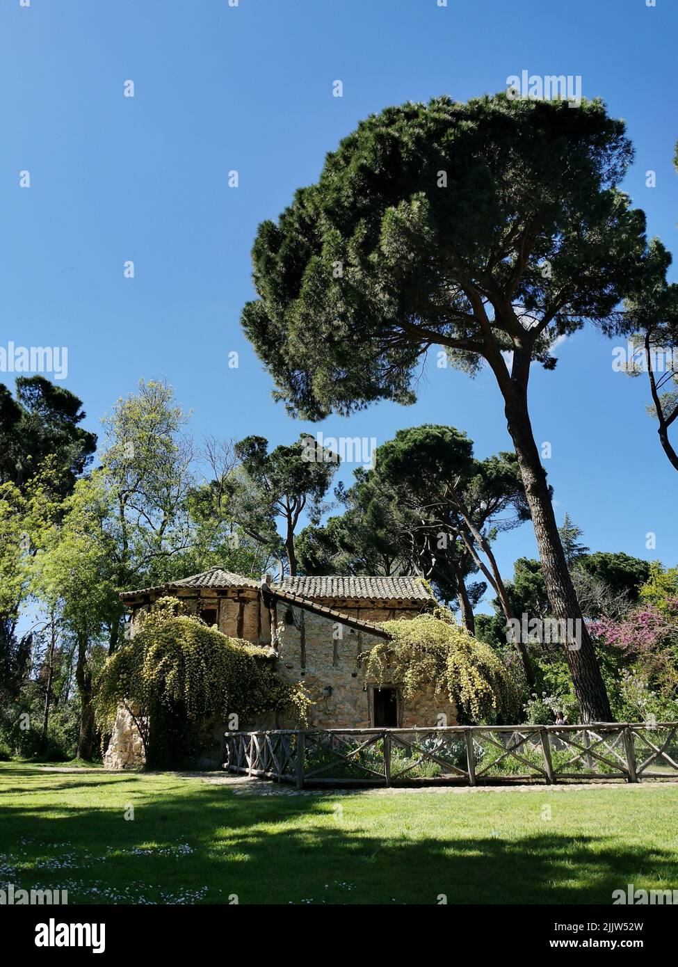 A vertical shot of a hut in a beautiful garden with pine trees and ...