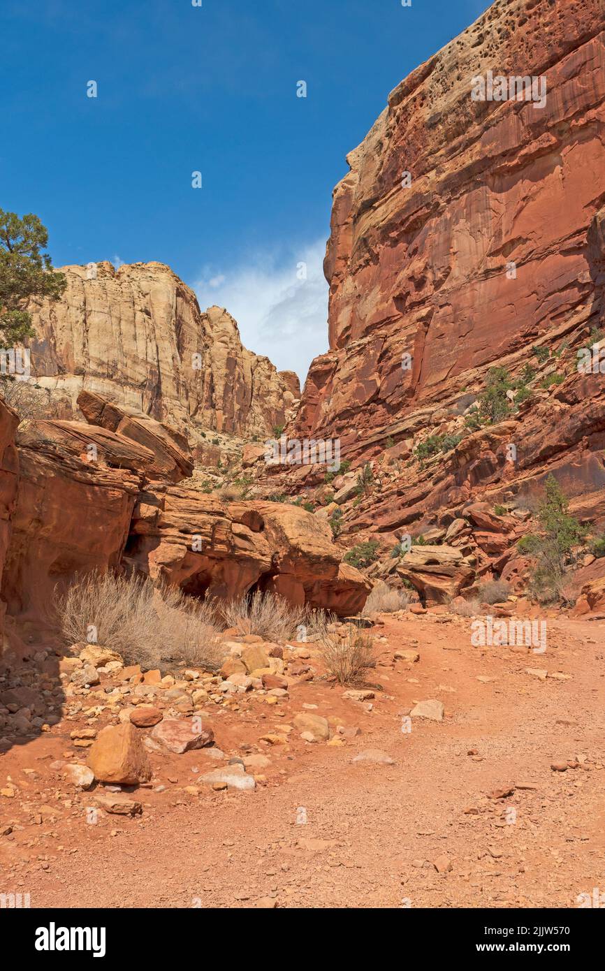 Dry Stream Bed in Red Rock Canyon in the Grand Wash in Capitol Reef ...