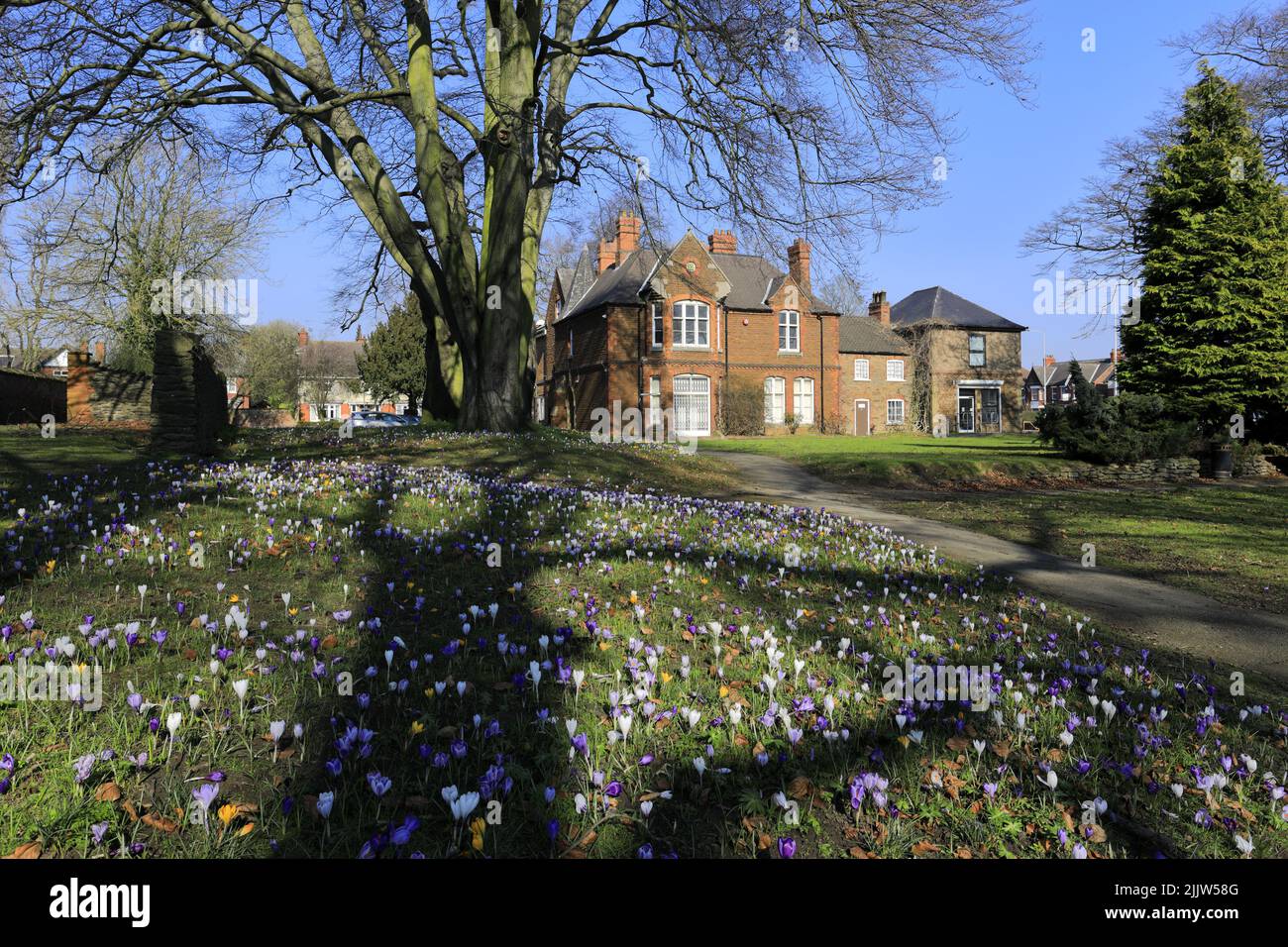 Spring flowers, the North Lincolnshire Museum gardens, Scunthorpe town ...