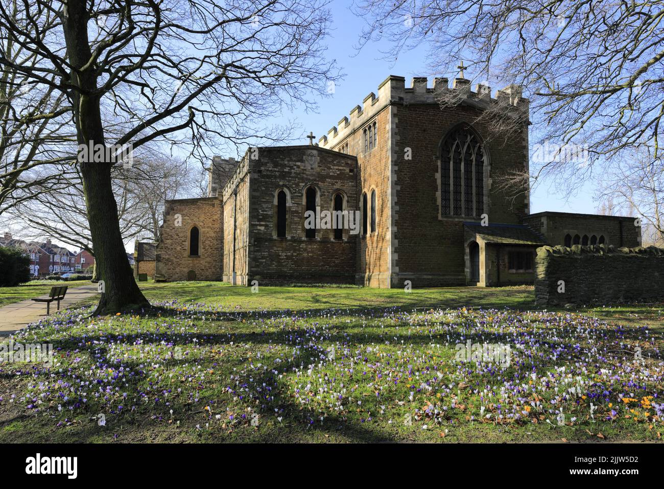 Spring flowers at St Lawrence's Church, Scunthorpe town, Lincolnshire ...