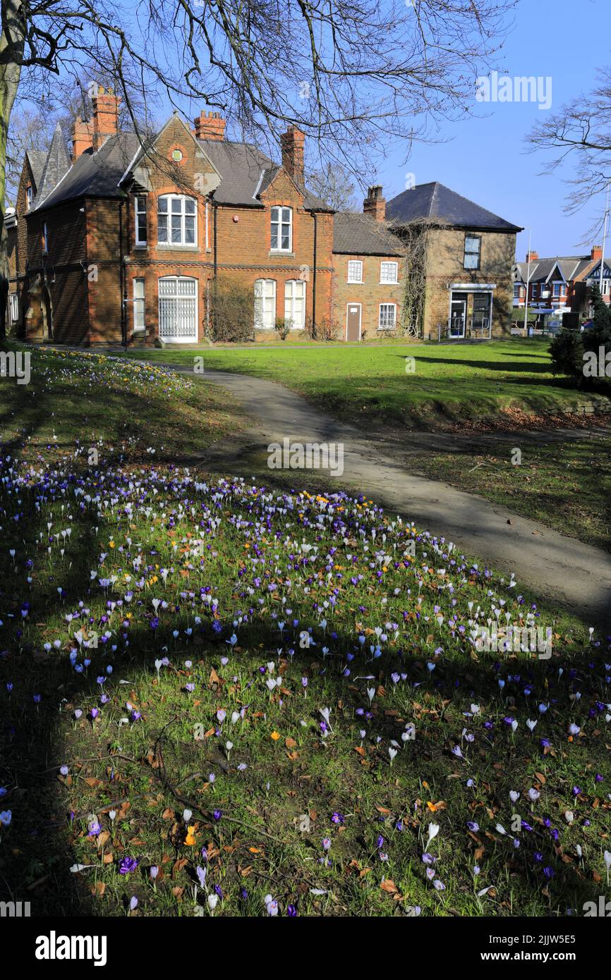 Museum gardens scunthorpe hi-res stock photography and images - Alamy