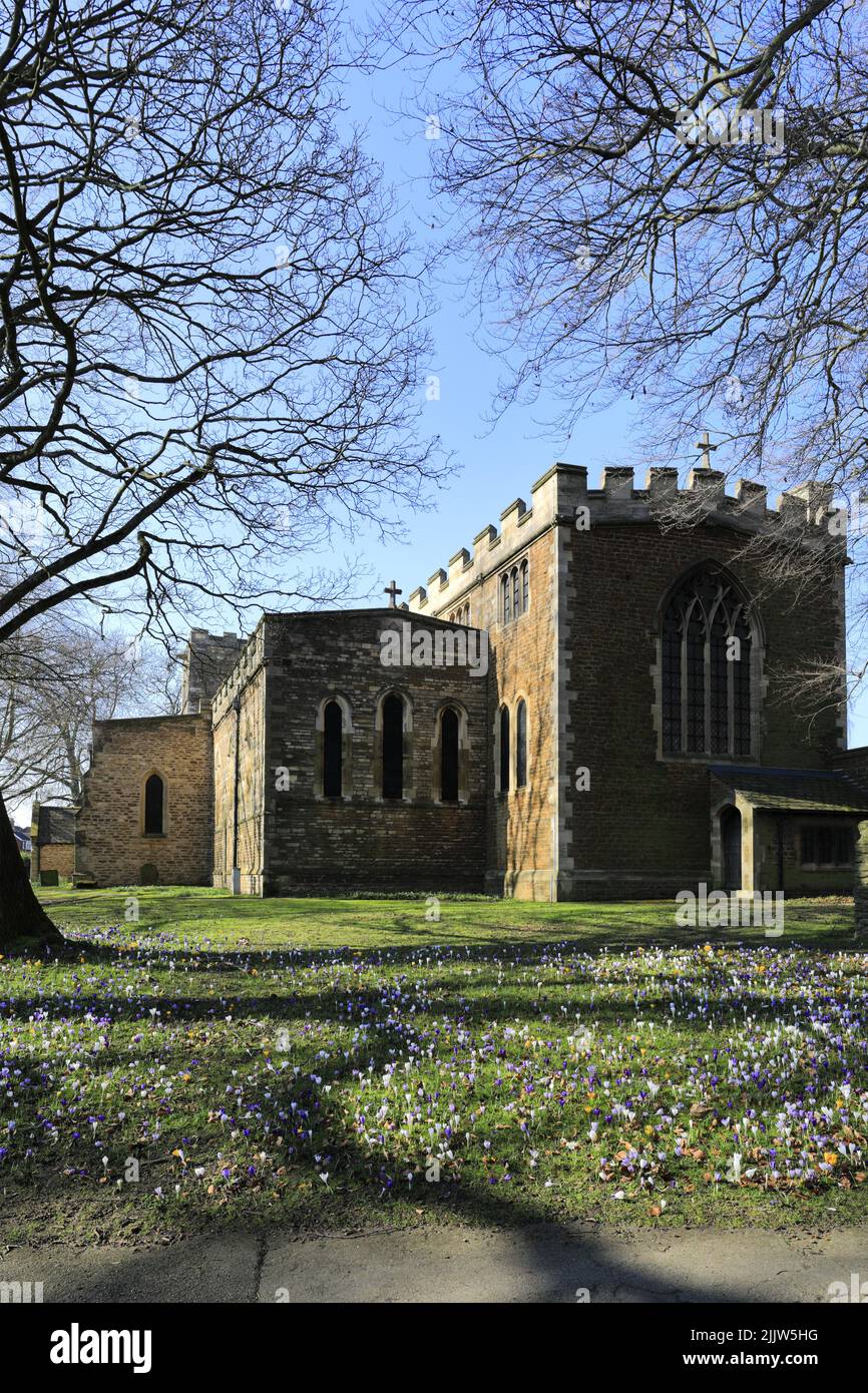 Spring flowers at St Lawrence's Church, Scunthorpe town, Lincolnshire ...