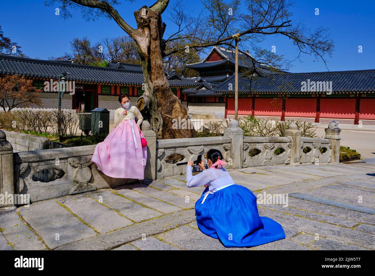 South Korea, Seoul, Jongno-gu district, Changdeokgung Palace or Palace ...