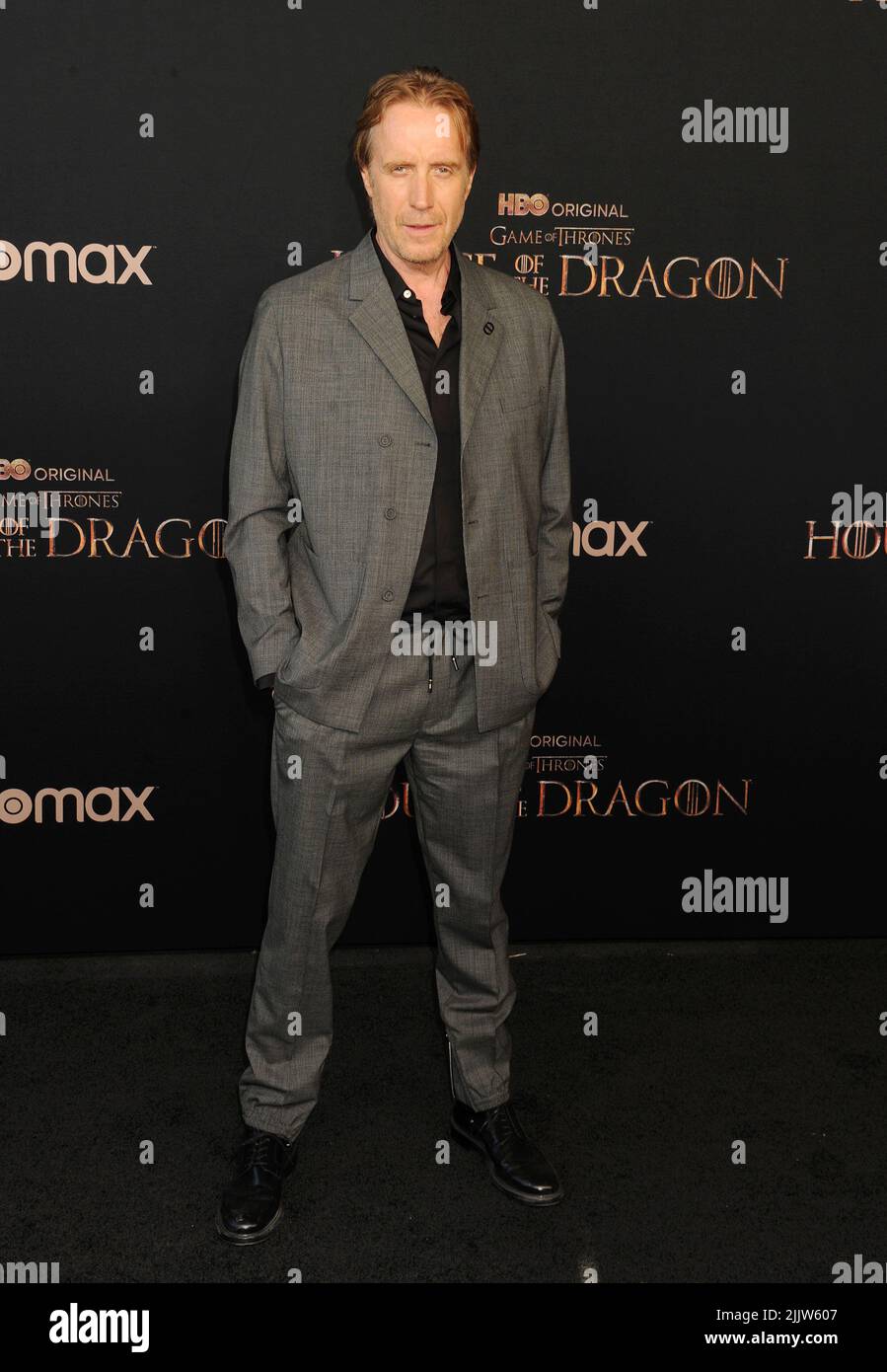 LOS ANGELES, CA - JULY 27: Rhys Ifans attends the HBO Original Drama ...