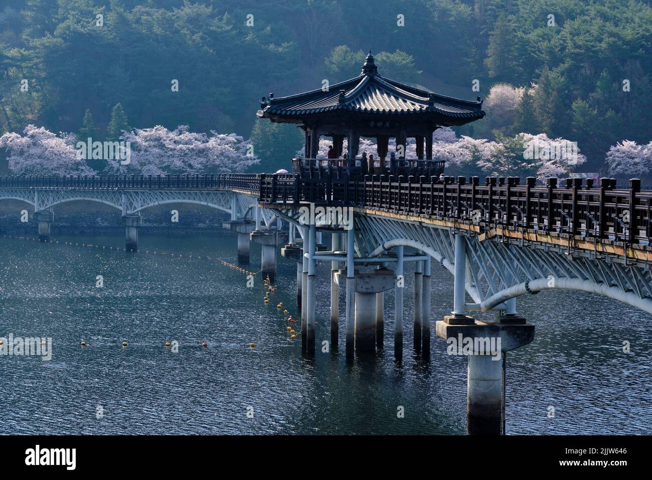 South Korea, North Gyeongsang Province, Andong, the wooden Wolyeonggyo ...