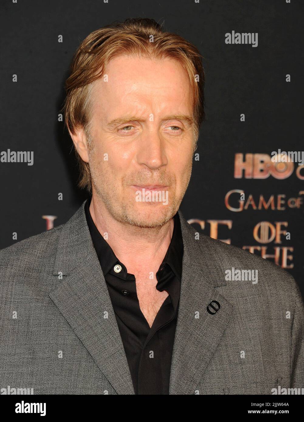 LOS ANGELES, CA - JULY 27: Rhys Ifans attends the HBO Original Drama ...