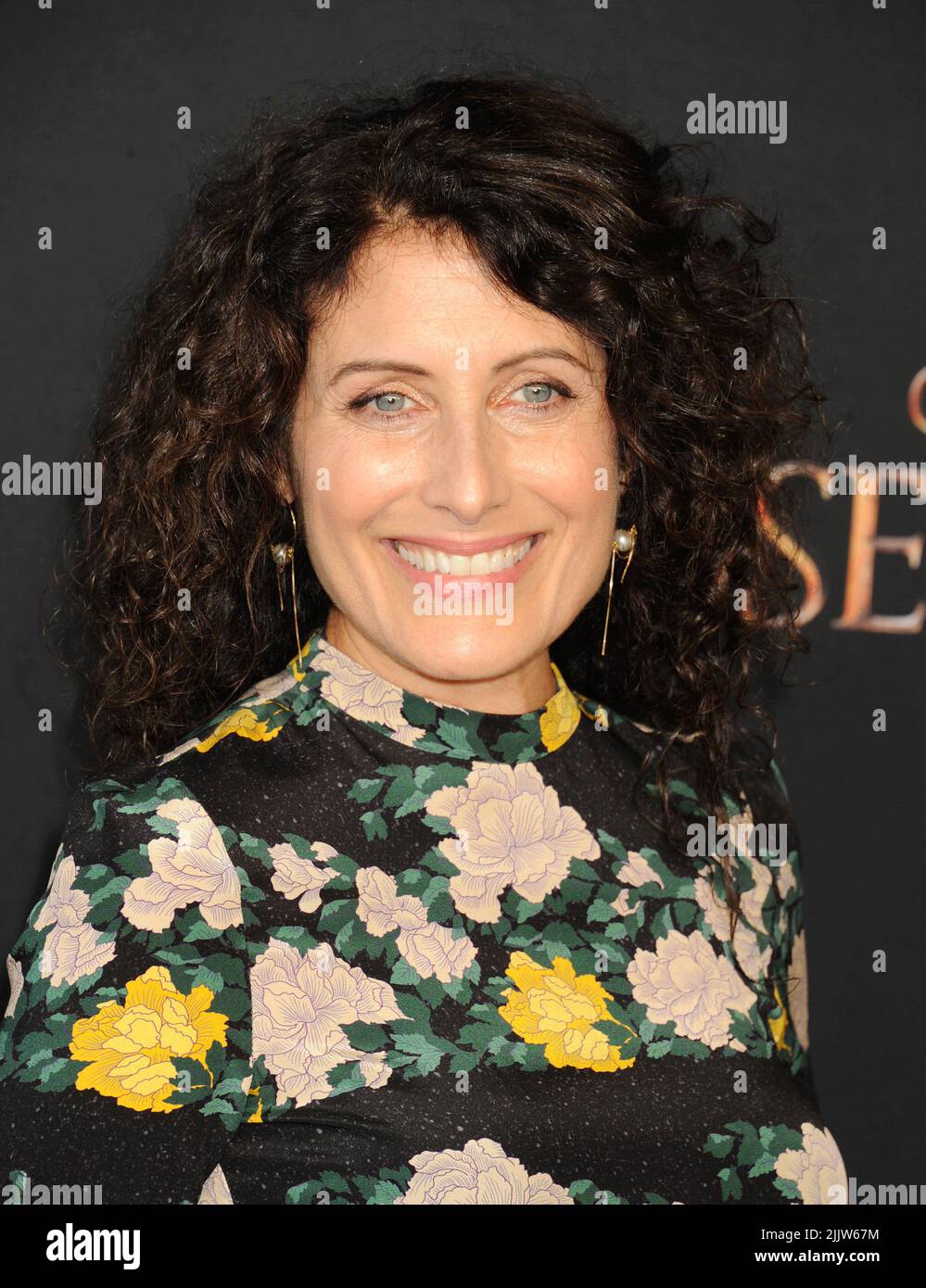 LOS ANGELES, CA - JULY 27: Lisa Edelstein attends the HBO Original ...