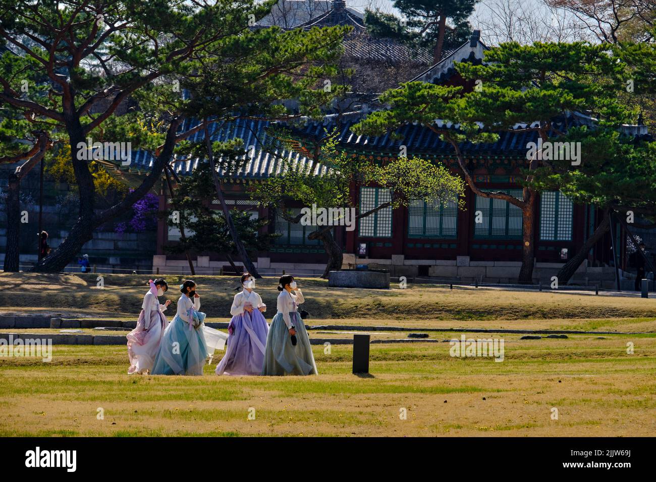 South Korea, Seoul, Jongno-gu district, Changdeokgung Palace or Palace ...