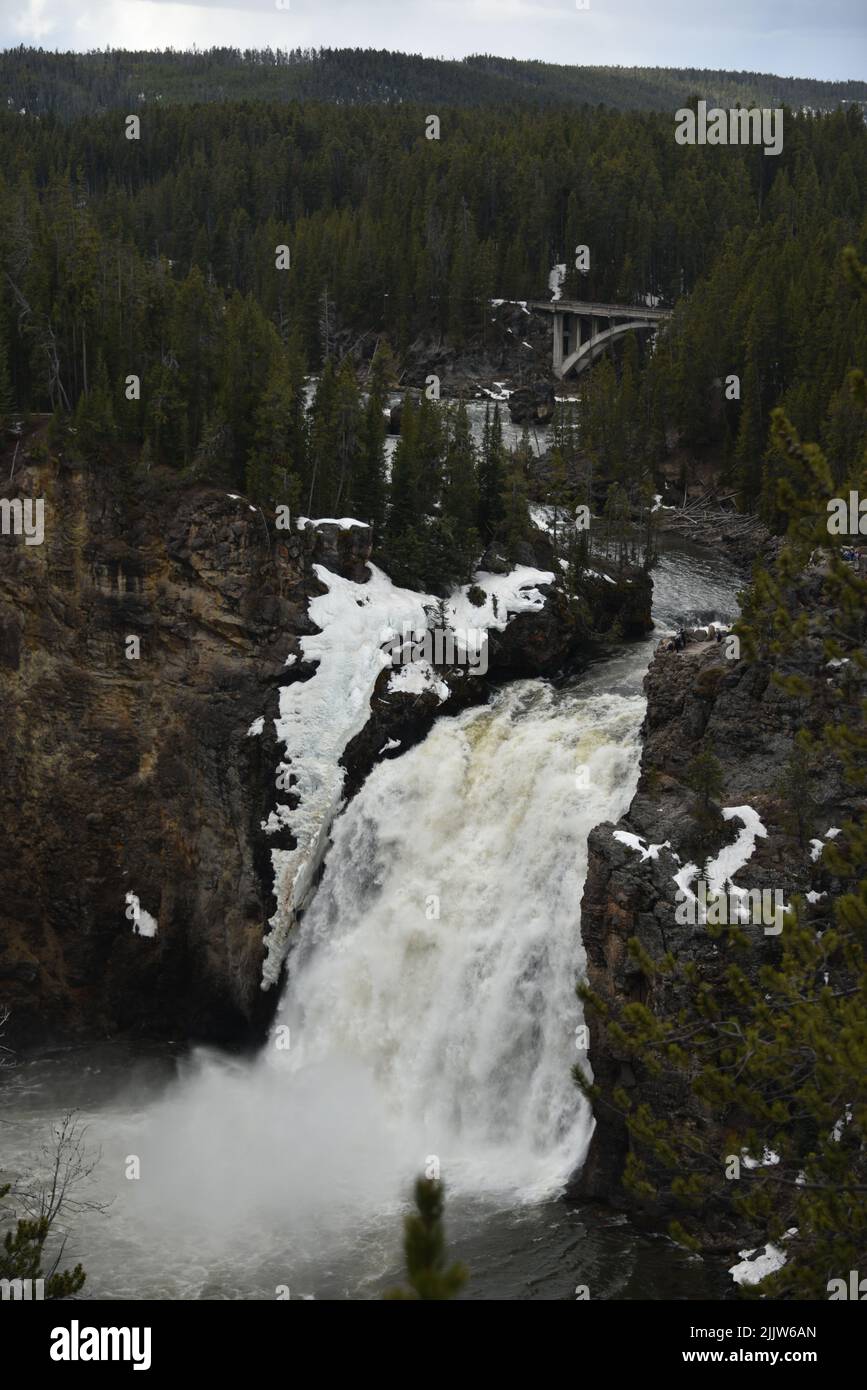 Yellowstone National Park, U.S.A. Grand Canyon of the Yellowstone falls ...