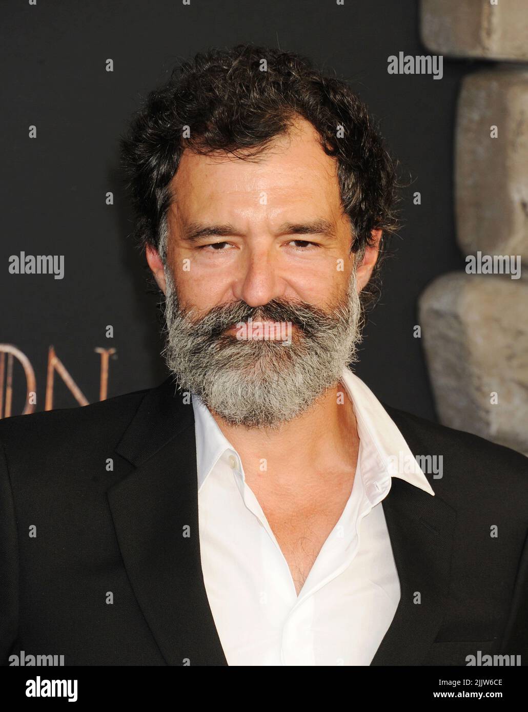 LOS ANGELES, CA - JULY 27: Director Greg Yaitanes attends the HBO ...