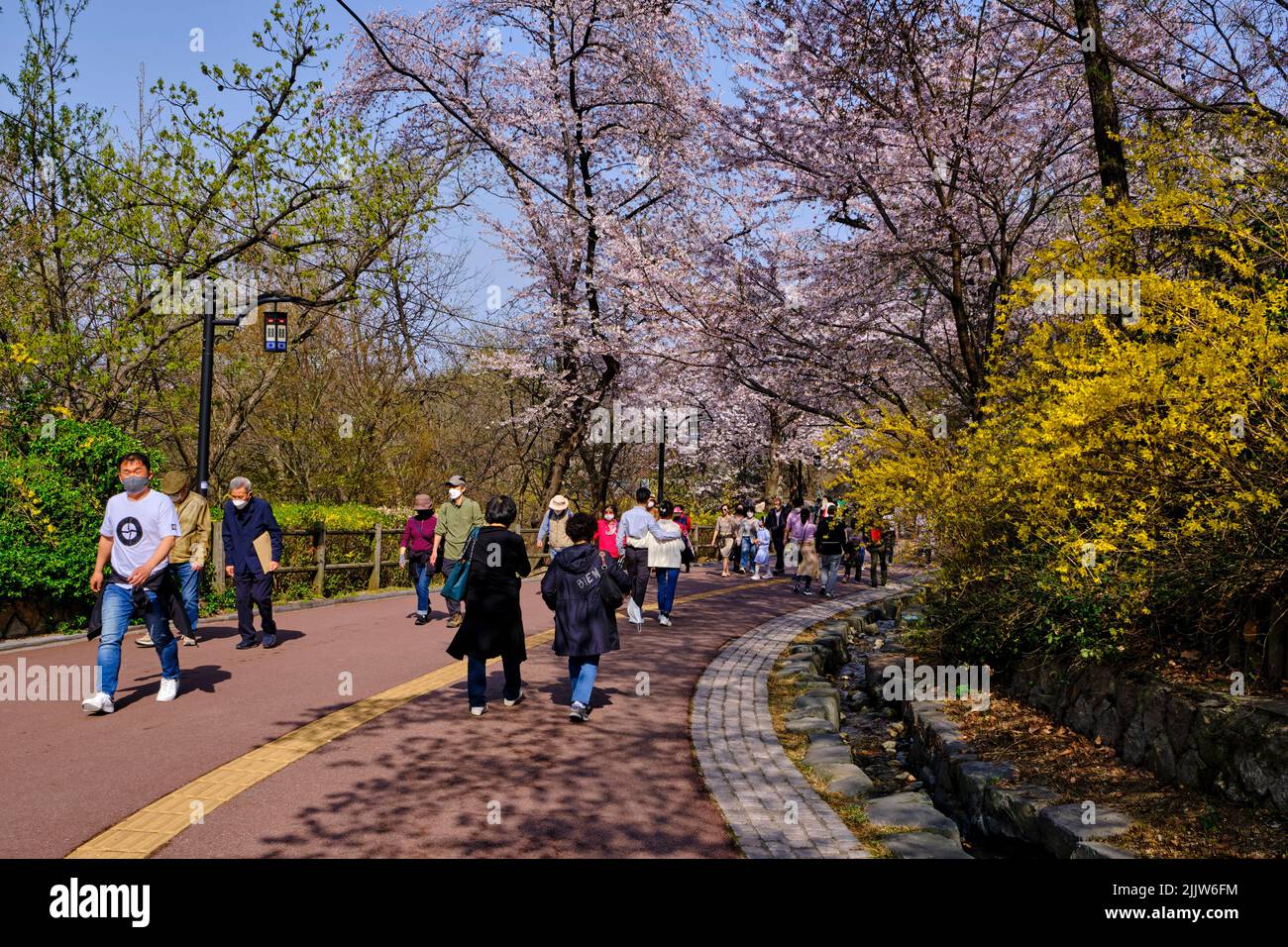 South Korea, Seoul, Namsan park Stock Photo - Alamy
