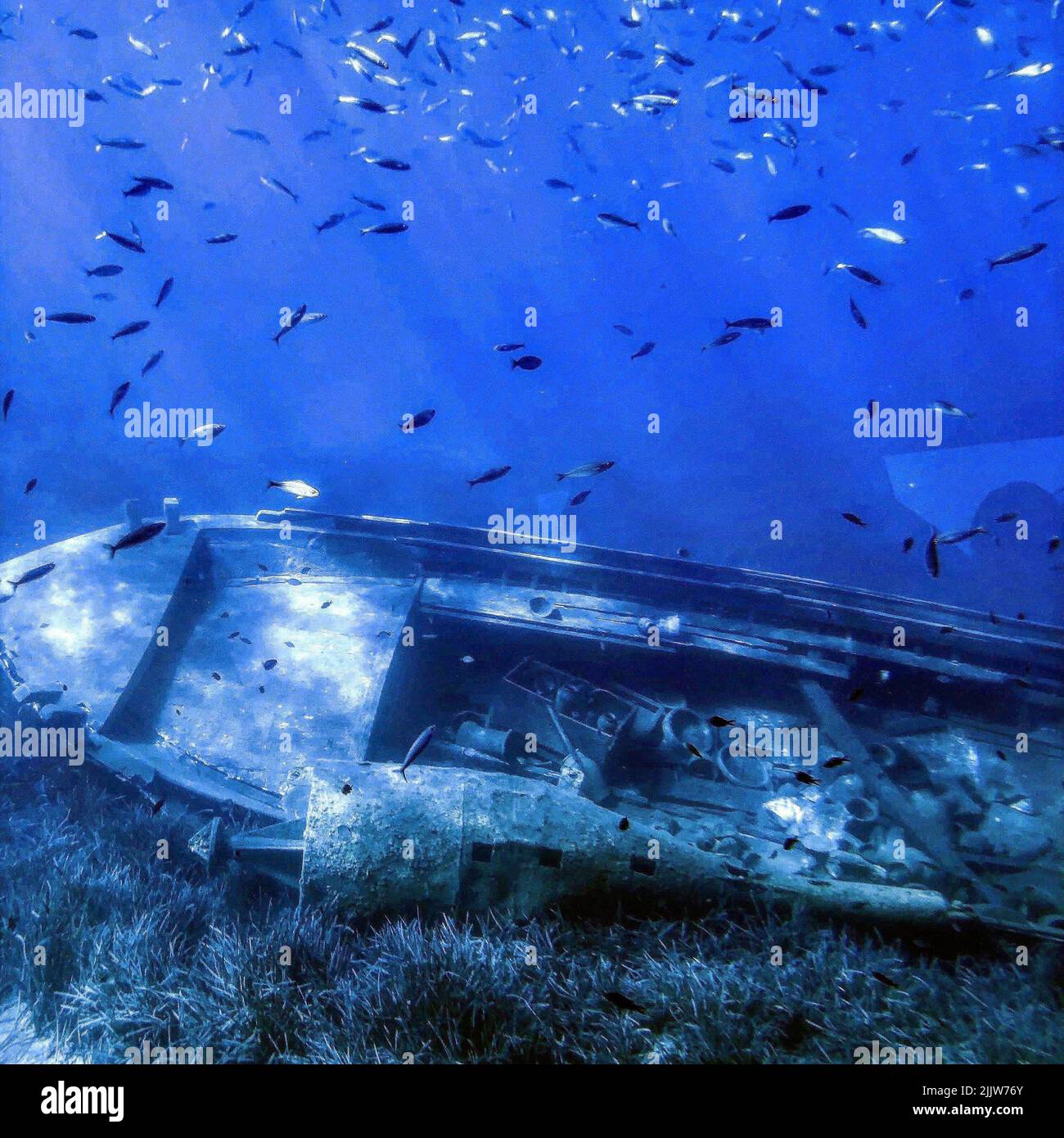 A beautiful shot of an old sunk ship on the bottom of the sea with ...