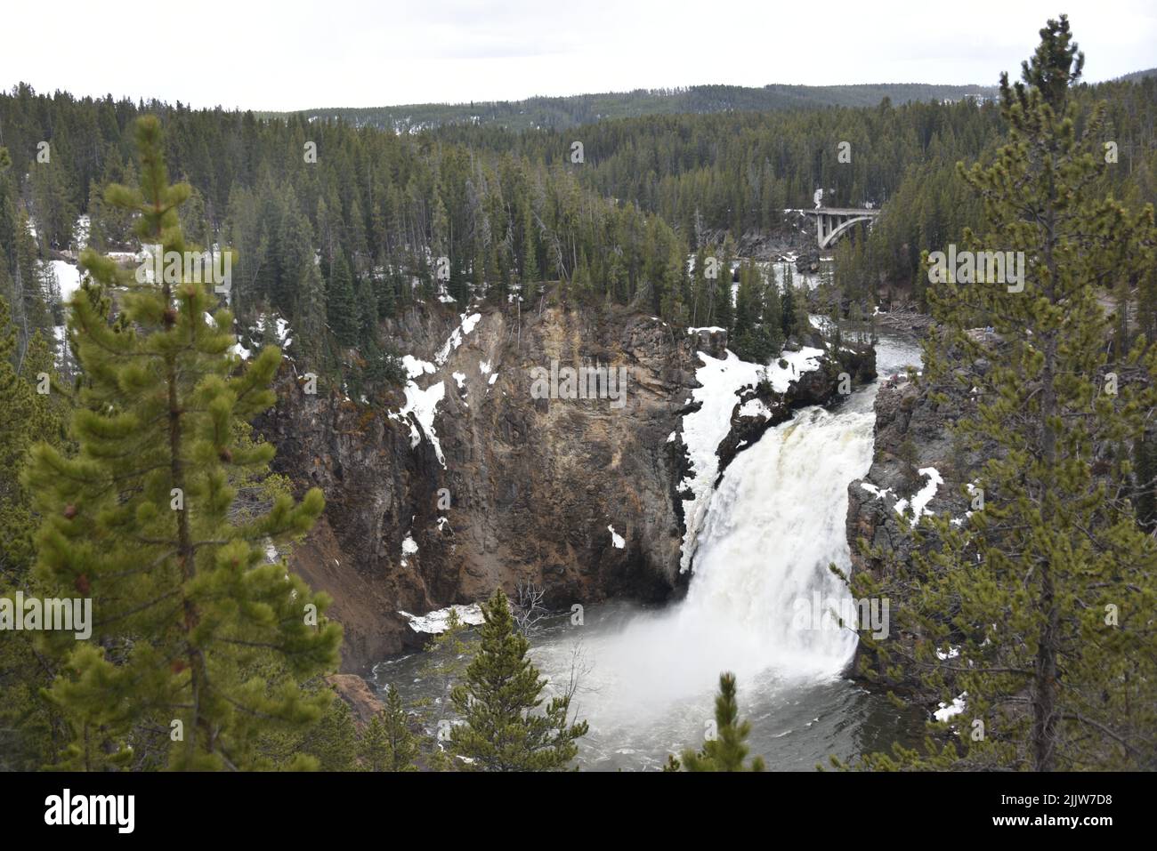 Yellowstone National Park, U.S.A. Grand Canyon of the Yellowstone falls ...