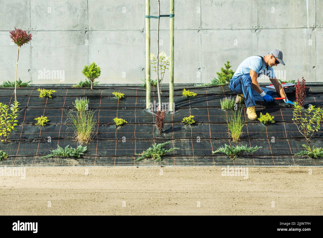 Caucasian Professional Landscaping and Gardening Worker in His 40s ...