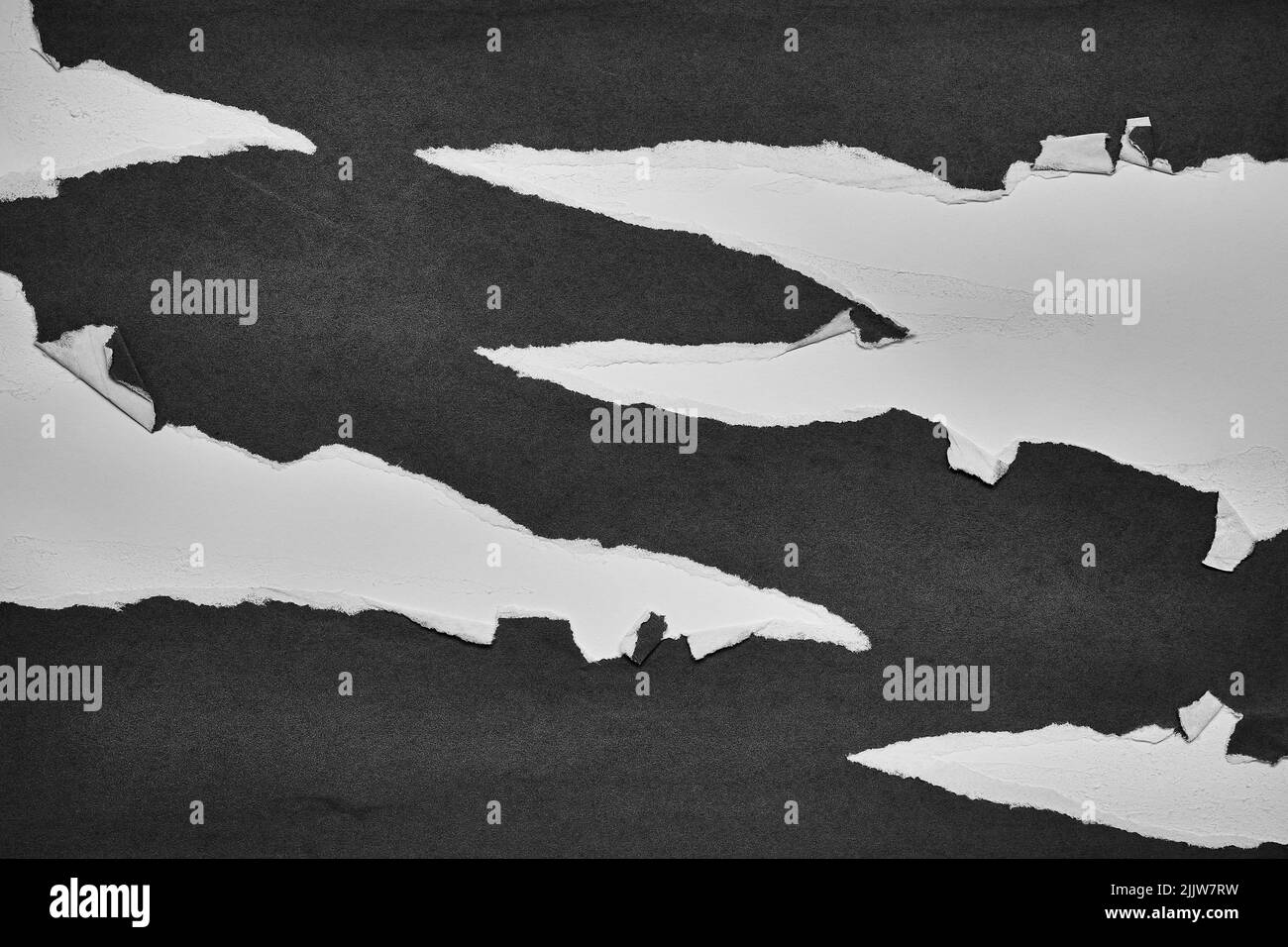 Black and White Torn Paper Collage Style, Ripped Paper Effect, Texture ...