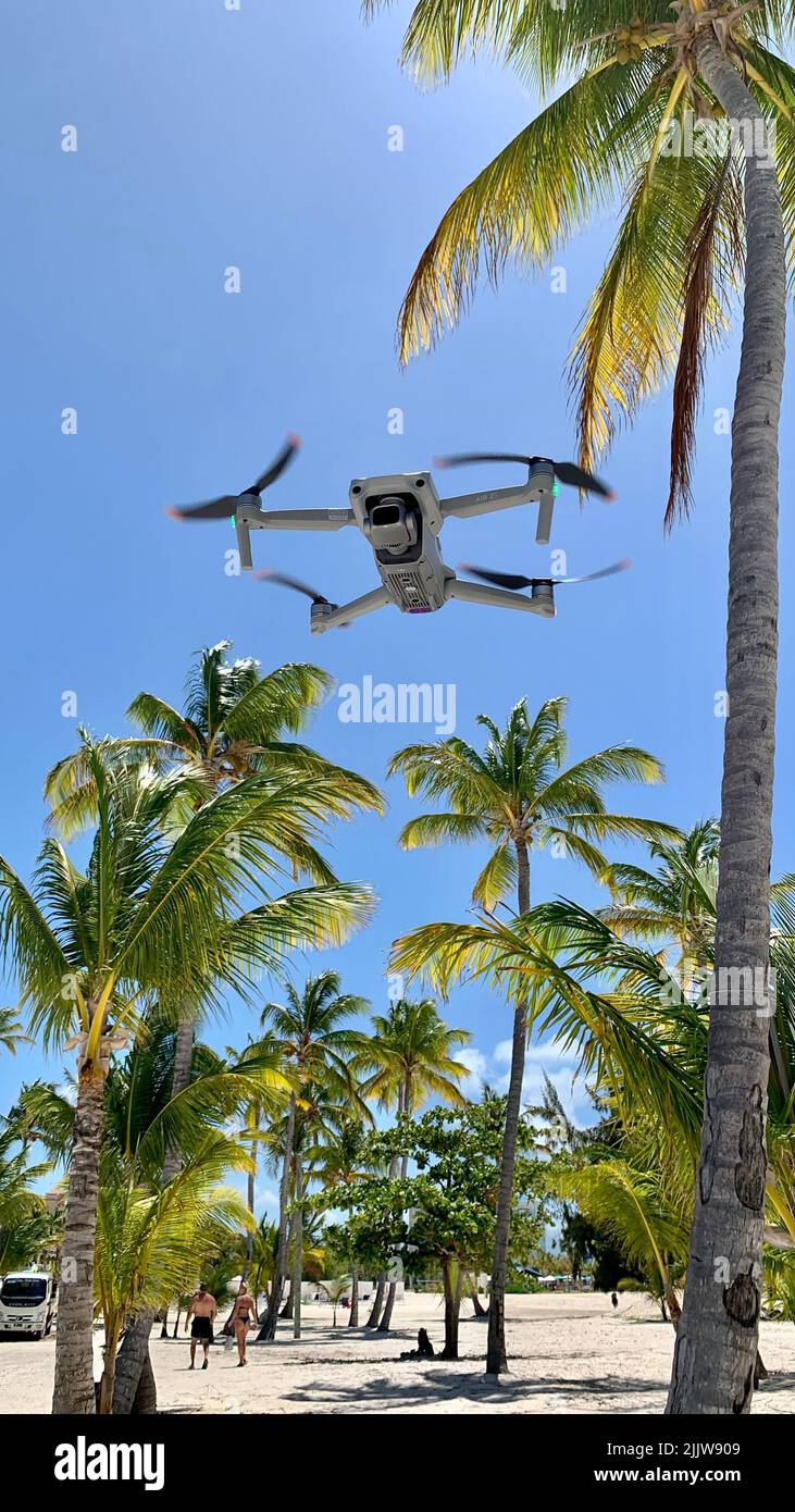 A Dji Mavic Air 2s drone hovering at the beach with palms and Blue sky ...