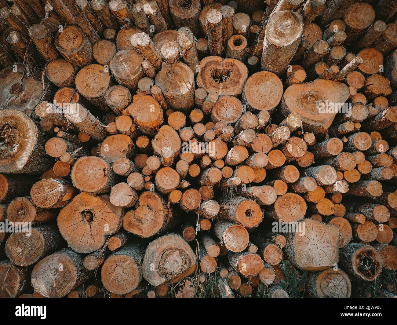 storage of wooden round tree cut for building and firewood, log house ...