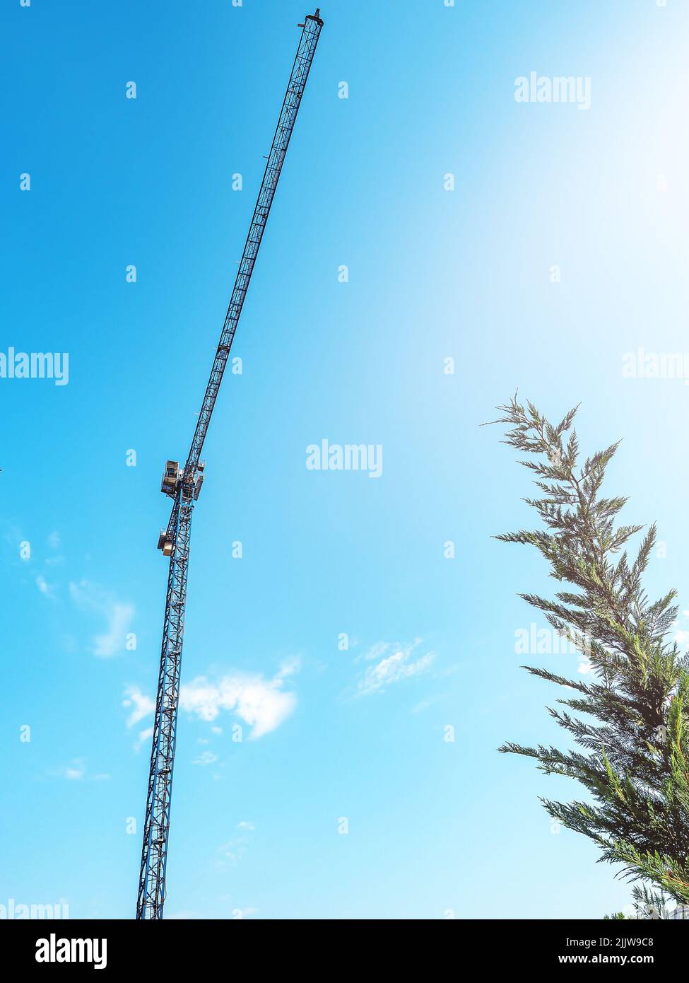 Bottom view of a long crane towering over a thuja bush under a sunny ...