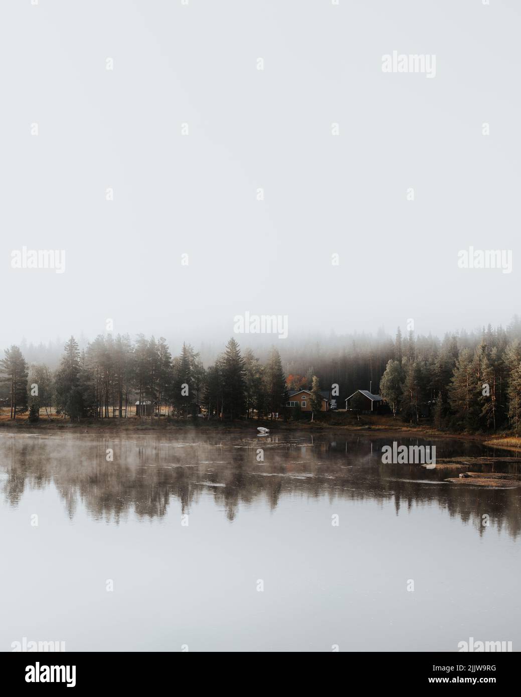A vertical shot of a pine forest on the lakeshore during a cloudy day ...