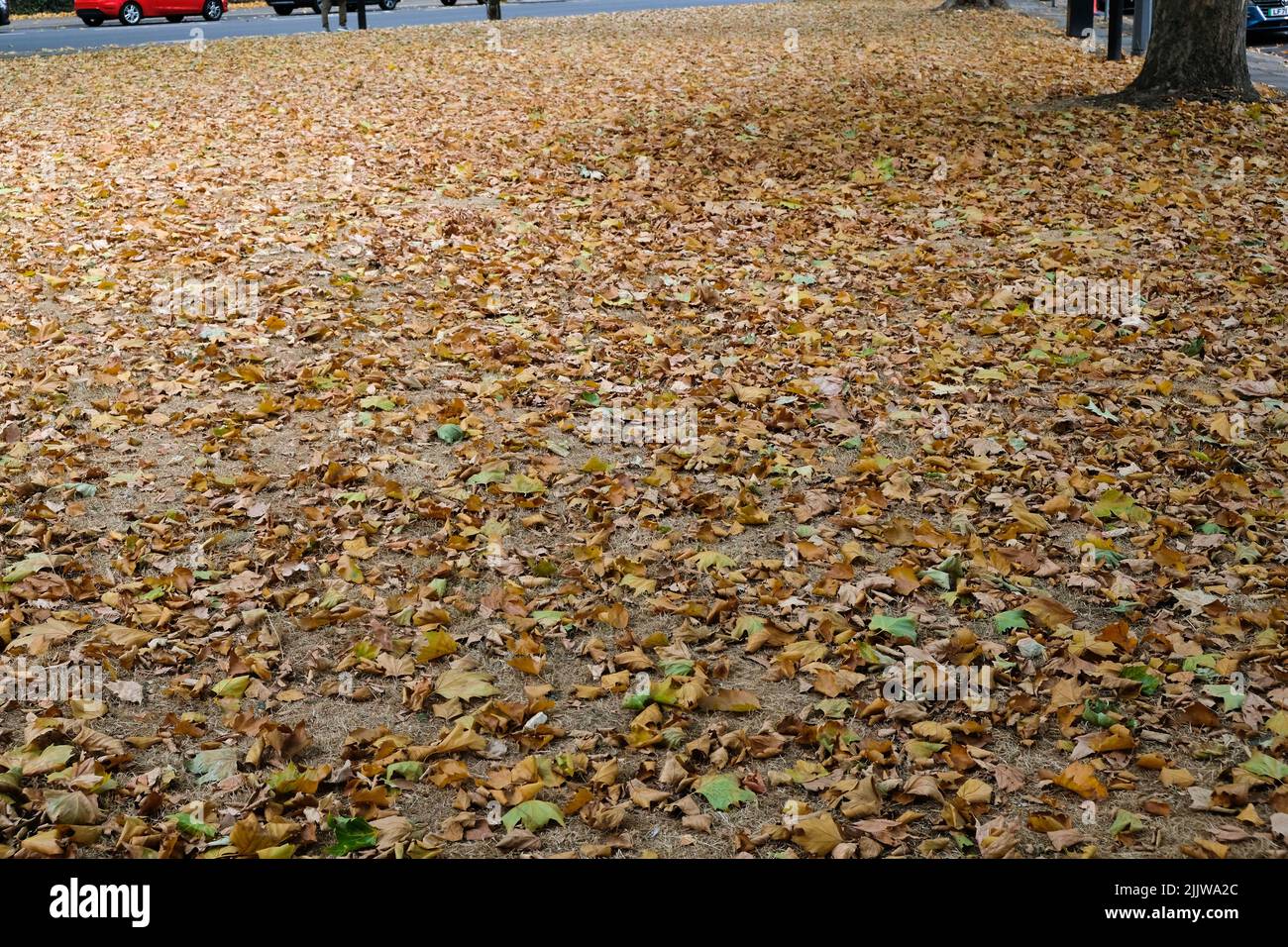 London, UK. 28th July 2022. Drought warnings for parts of the UK. Dry ...
