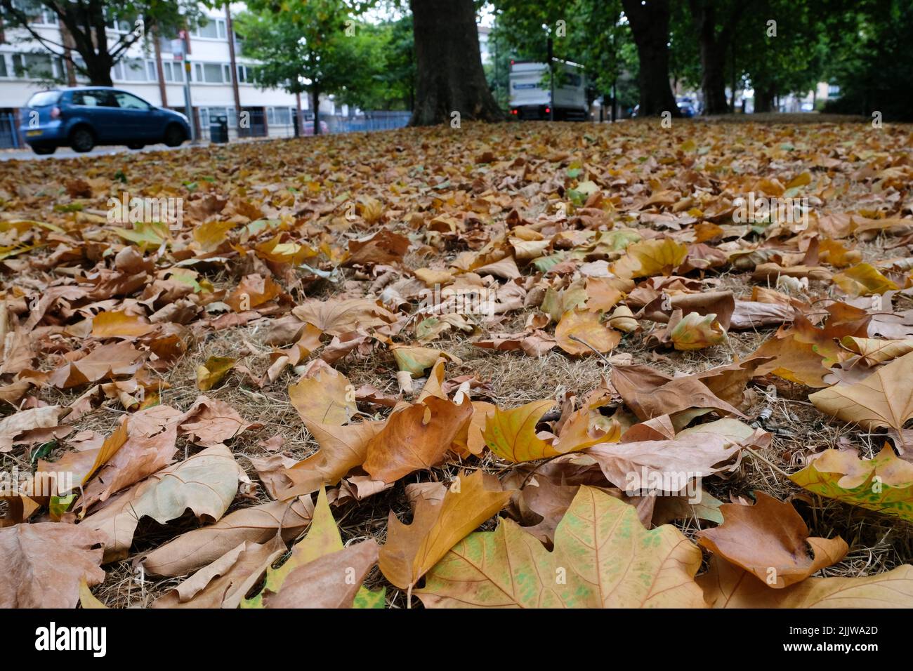 London, UK. 28th July 2022. Drought warnings for parts of the UK. Dry ...