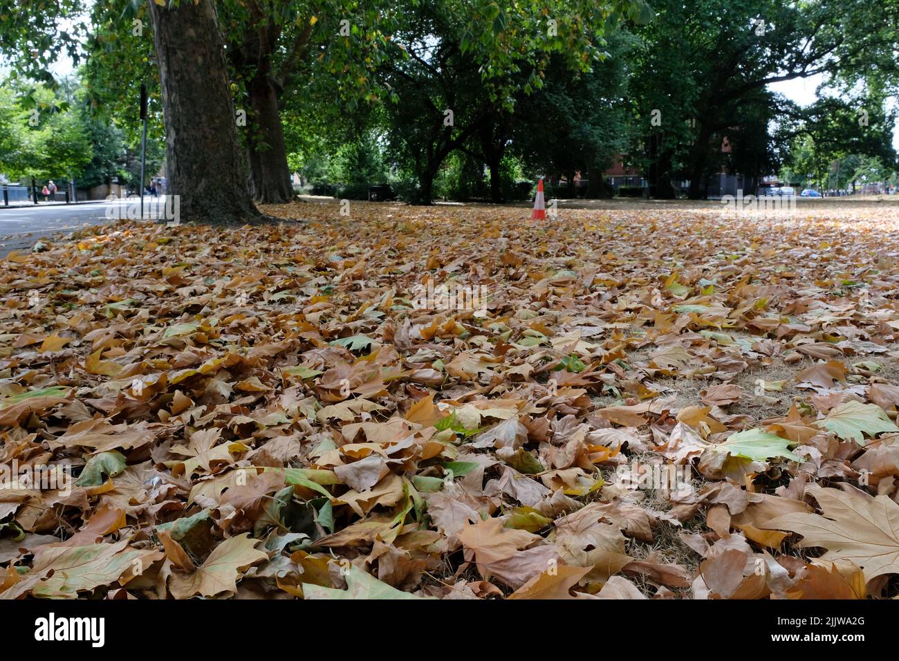 London, UK. 28th July 2022. Drought warnings for parts of the UK. Dry ...