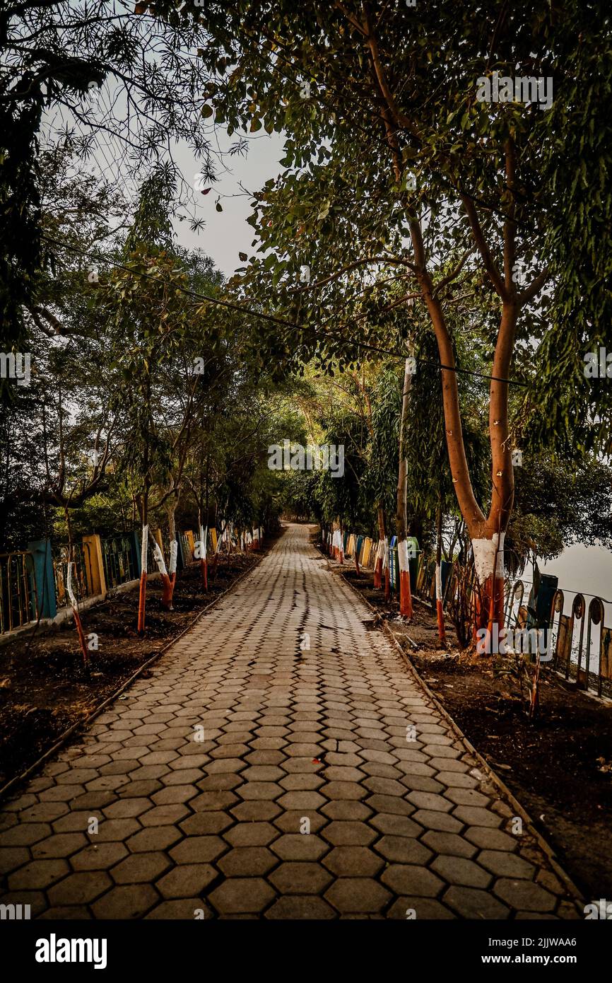 A narrow trail through the park with high green trees in Bhopal ...