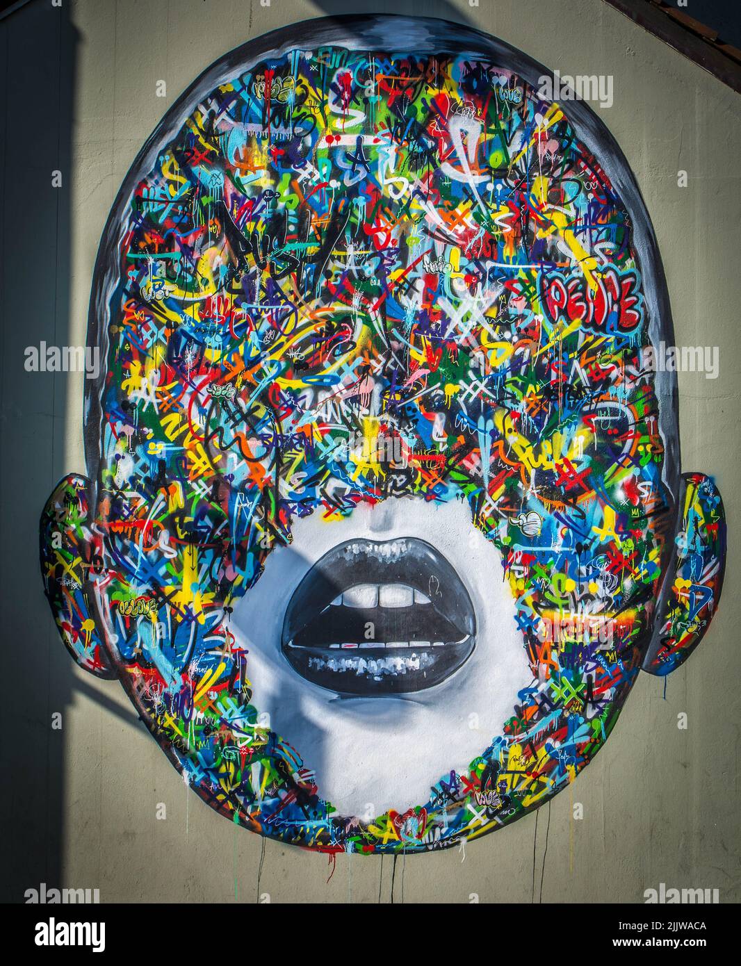 A vertical shot of a colorful graffiti head art on a street in ...