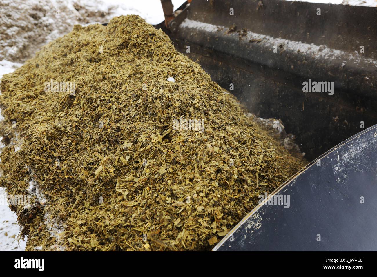 Bucket with Emily mobile cutter. Selection of silage and haylage from ...