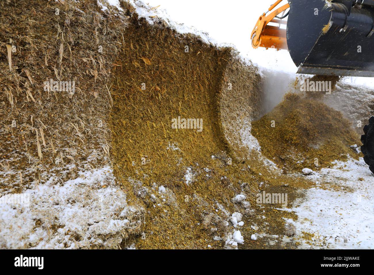 Bucket with Emily mobile cutter. Selection of silage and haylage from ...