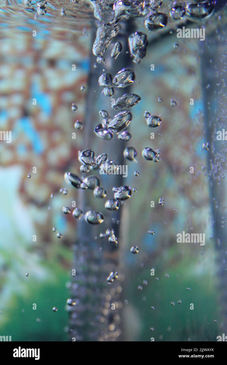 Aquarium water filter hi-res stock photography and images - Alamy