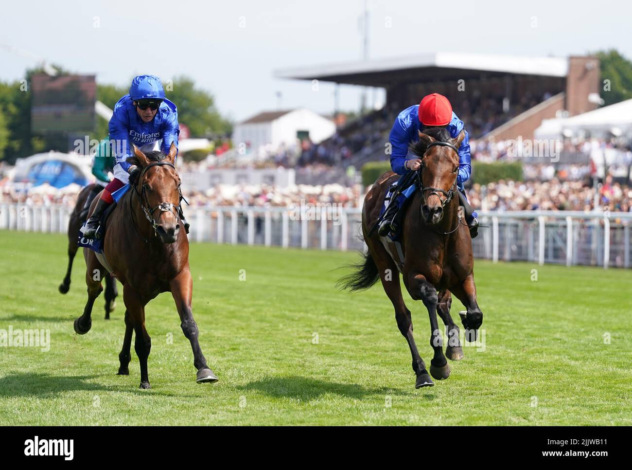 Warren point horse hi-res stock photography and images - Alamy