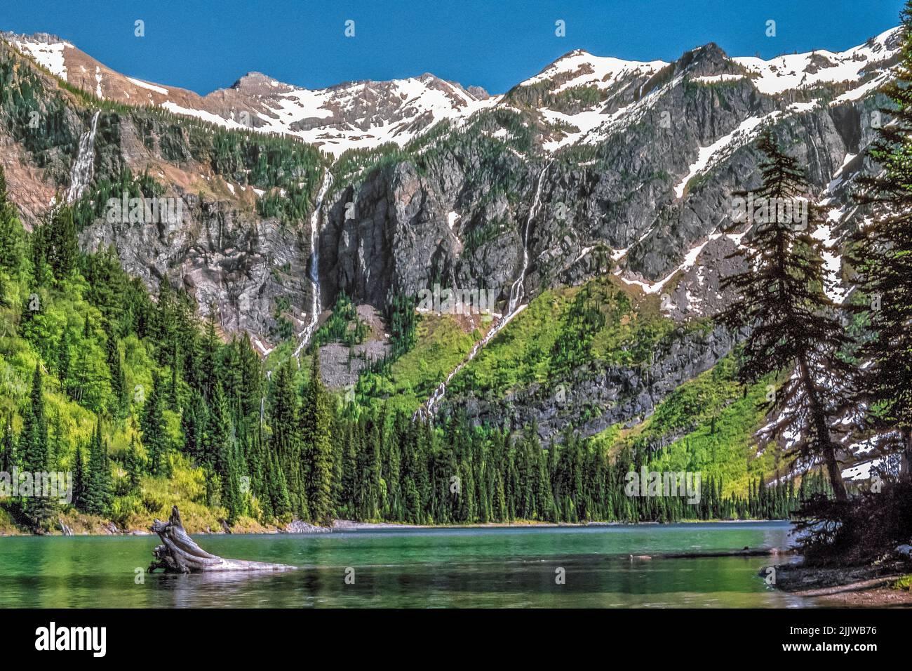 avalanche lake in glacier national park, montana Stock Photo - Alamy