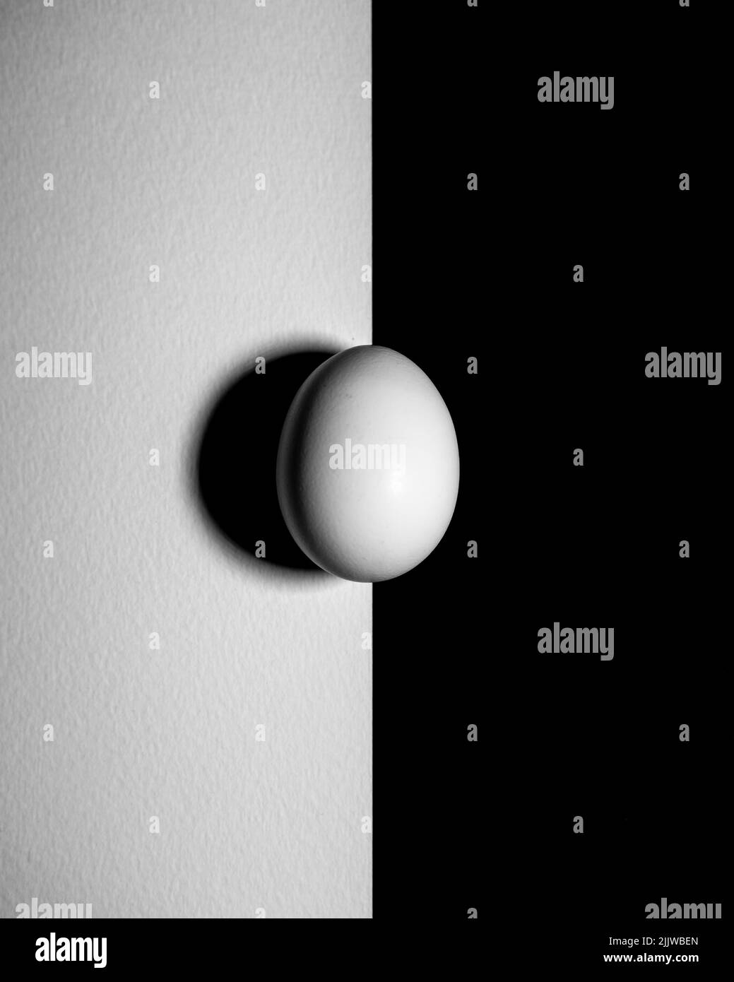 A grayscale of an egg with a shadow on a two-tone background Stock ...
