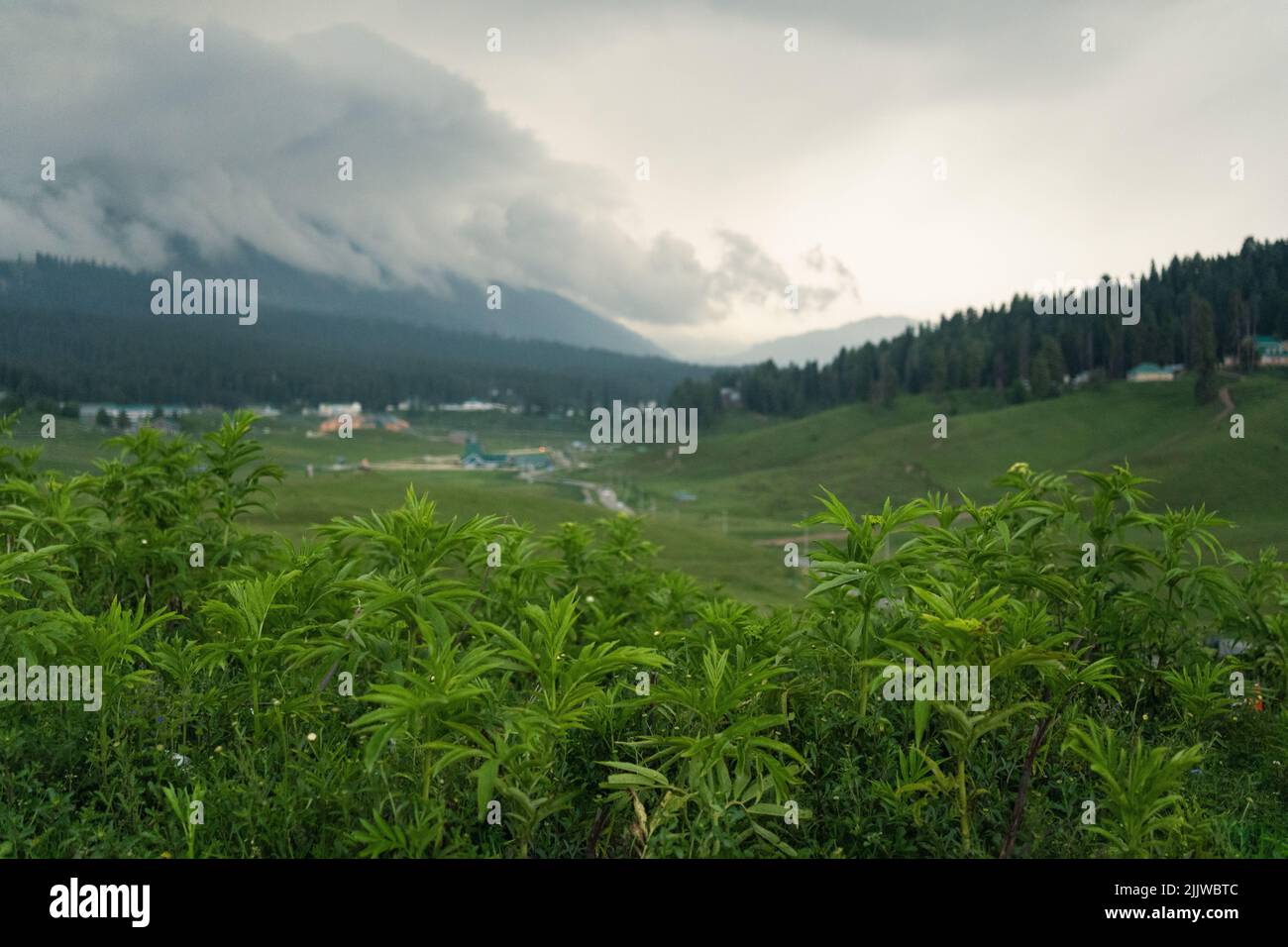 Landscape with mountains Gulmarg Jammu and Kashmir, India Stock Photo ...