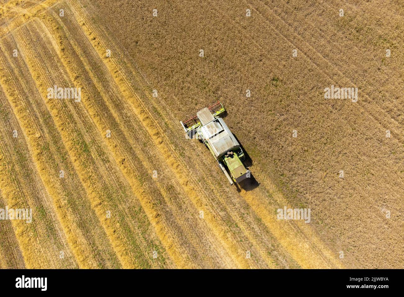 Landscape with a combine harvesting wheat in the field, grain, farming ...