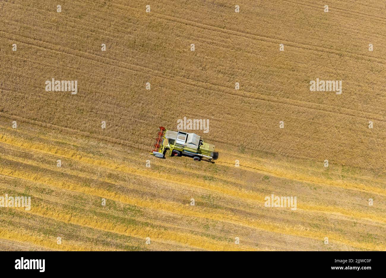 Landscape with a combine harvesting wheat in the field, grain, farming ...