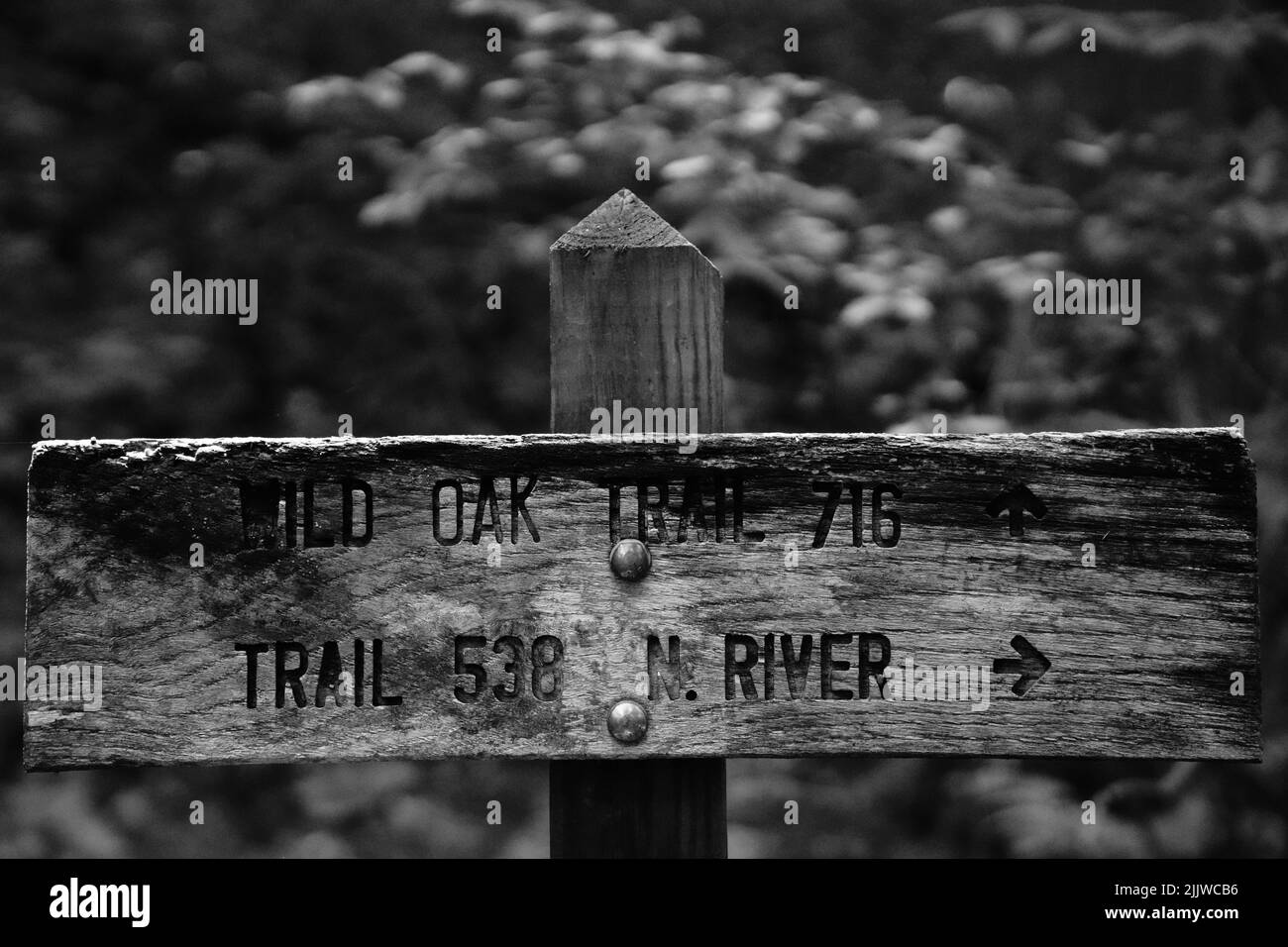 The grayscale close-up of an old wooden direction board Stock Photo - Alamy