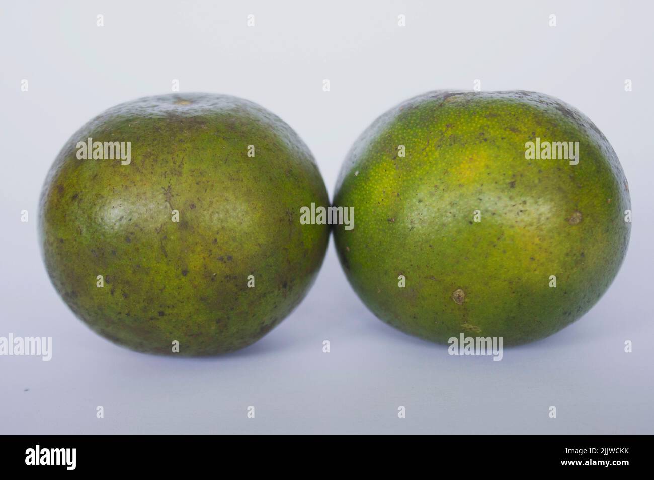 fresh lemon slice, orange slice, jeruk baby, citrus sinensis, green ...