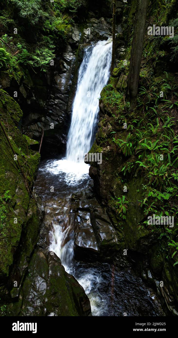 The vertical view of a waterfall running through the green vegetation ...