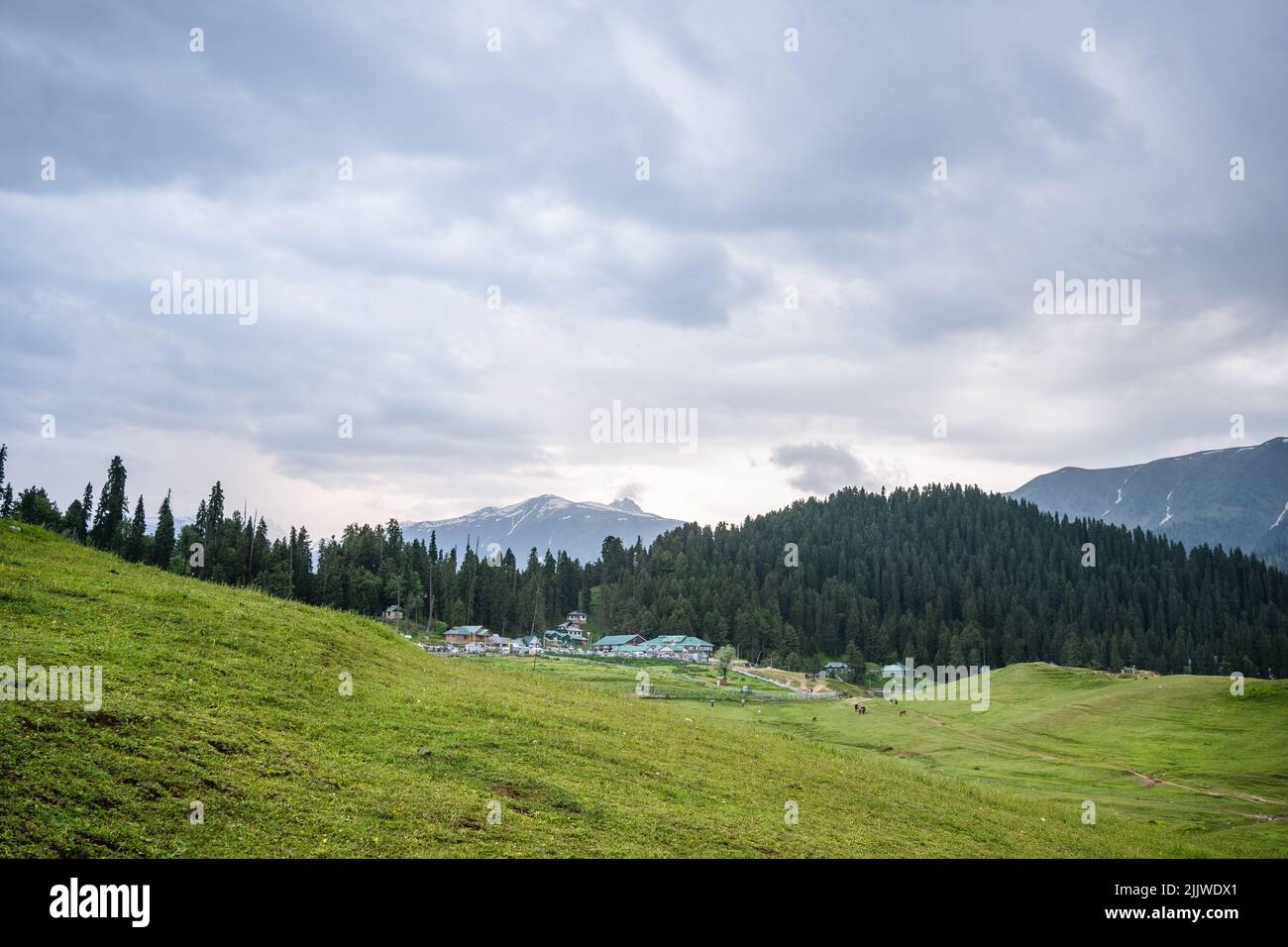 Landscape scenic of hills forests in beautiful kashmir. Dal lake ...