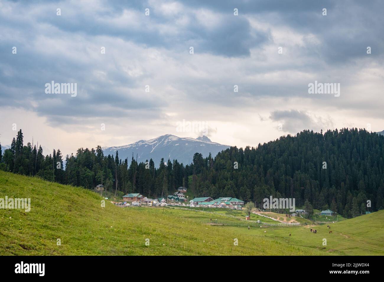 Landscape scenic of hills forests in beautiful kashmir. Dal lake ...